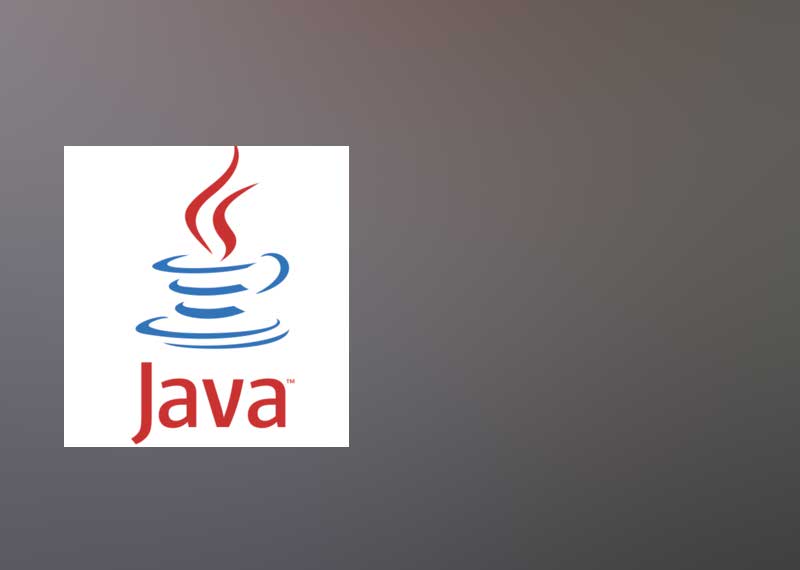 Praveen java Developer spring javascript Developer React Angular 